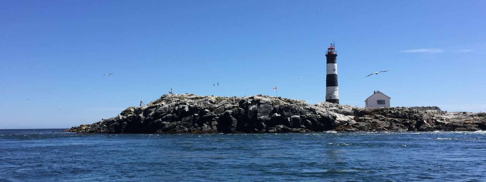 2024 Waterfront Excursions - Northwest Aquatic and Marine Educators